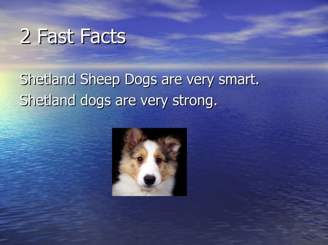 Mccurdy Chelsea | PPT