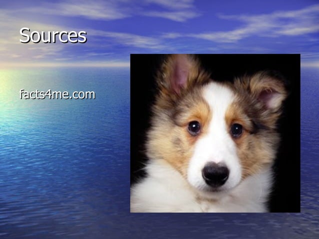 Mccurdy Chelsea | PPT