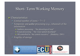Memory: Structures and Processes | PDF