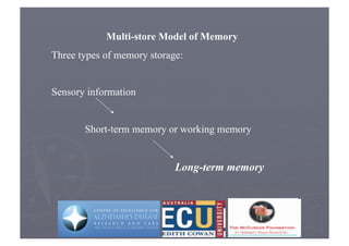 Memory: Structures and Processes | PDF