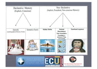 Memory: Structures and Processes | PDF