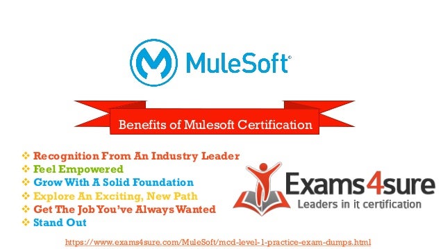 MCD-Level-1 Exam Guide | PDF