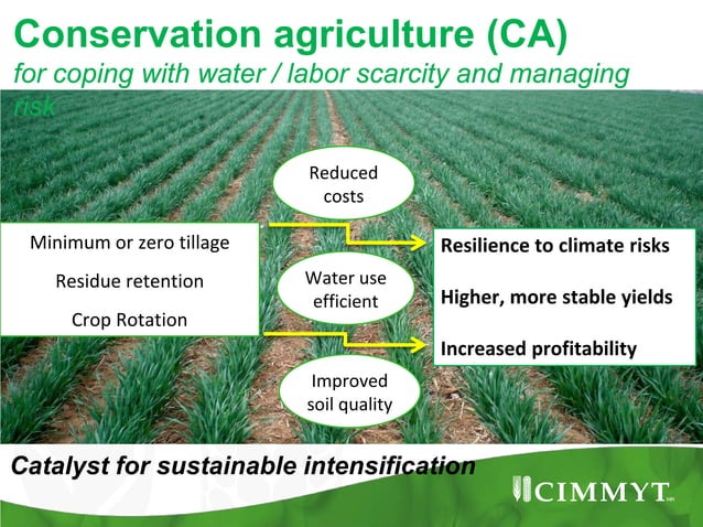 Maize example-CIMMYT/Nepal or CSISA | PPT
