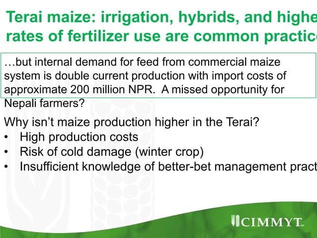Maize example-CIMMYT/Nepal or CSISA | PPT
