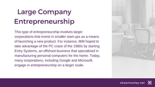 Discover the Types of Entrepreneurship | PDF