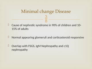 minimal change disease overview and description | PPTX