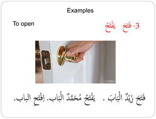 Groups of the Arabic Verbs | PPTX