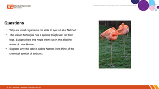 MCE IGCSE Chemistry PPT C12.pptxaaaaaaaa | PPTX