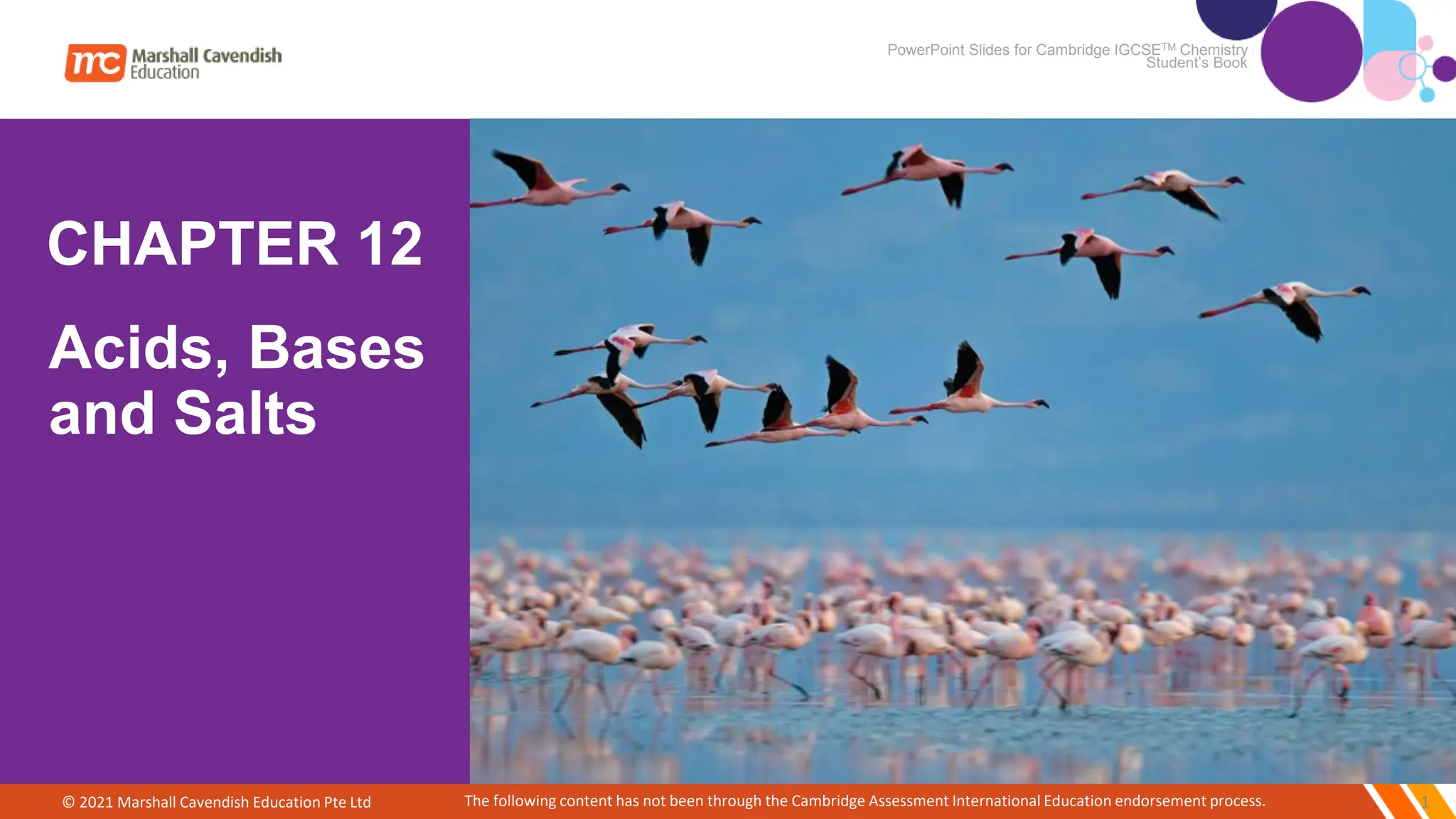 MCE IGCSE Chemistry PPT C12 (Acid Base Salt G-9).pdf