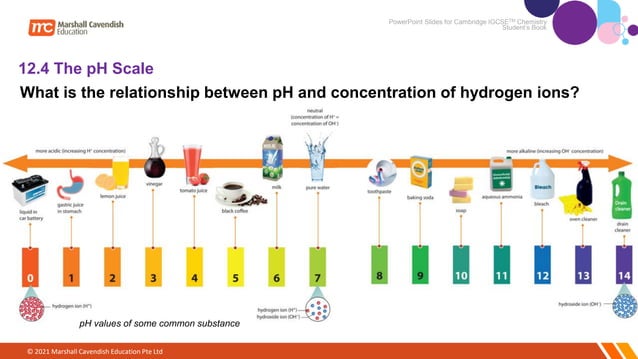 MCE IGCSE Chemistry PPT C12 (Acid Base Salt G-9).pdf | Chemistry | Science