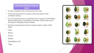 Presentation on social connect and responsibilities | PPTX | Nutrition ...