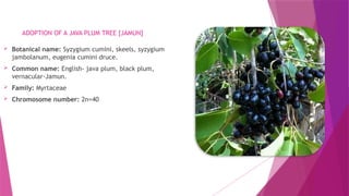 Presentation on social connect and responsibilities | PPTX