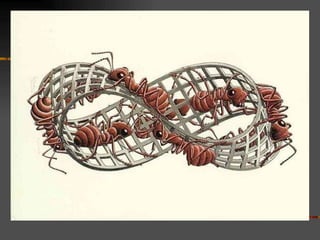 Mc escher presentation | PPT