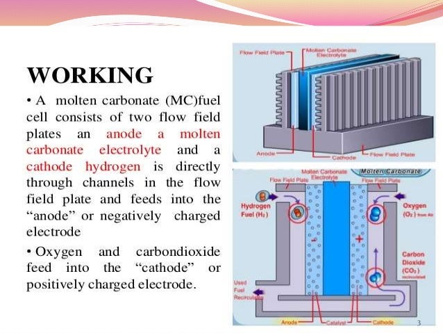 molten carbonate fuel cell