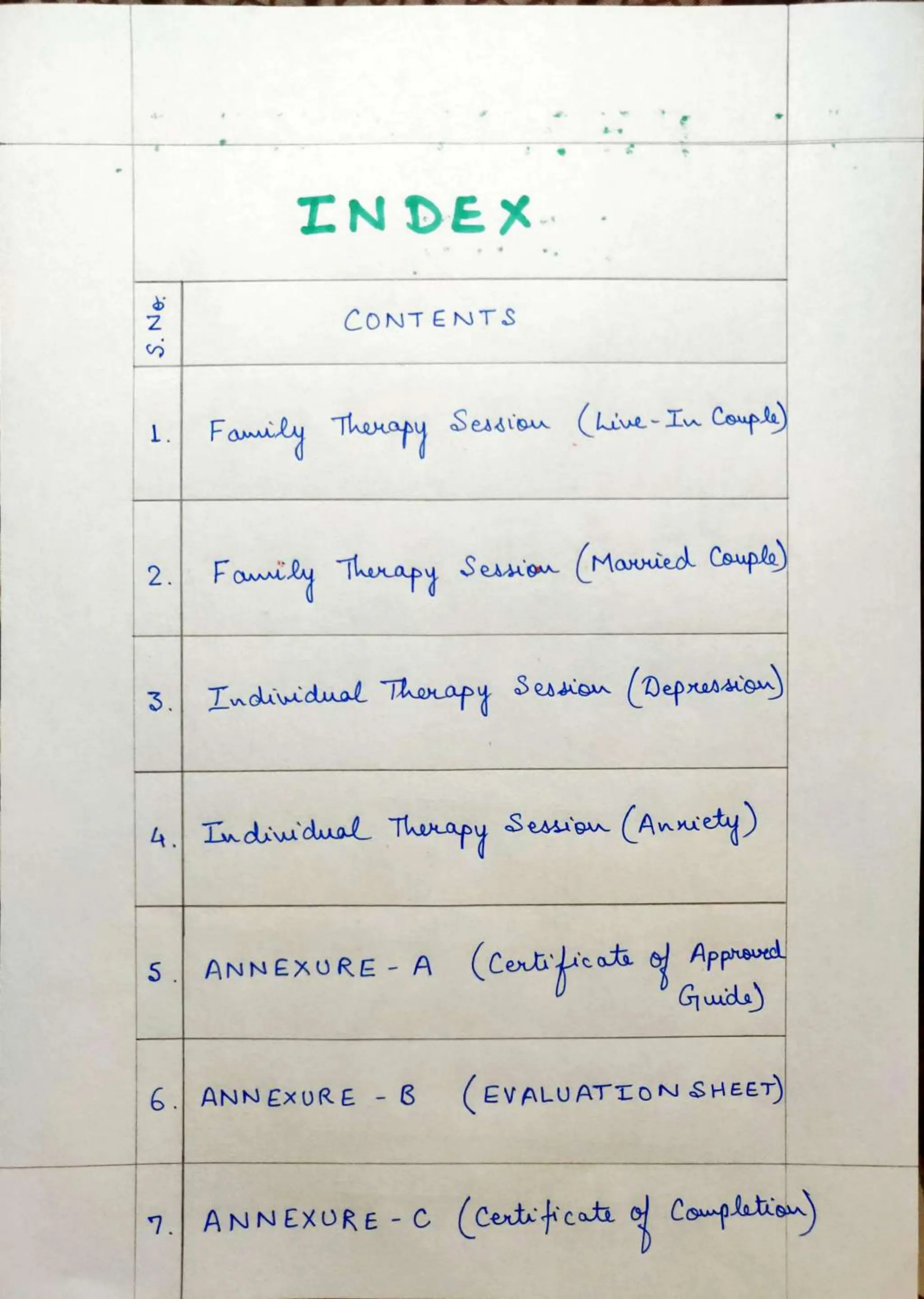 IGNOU Sample File for Internship MCFTP001 PK | PDF