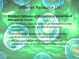 Mc gaughey, jaclyn cellular respiration | PPTX