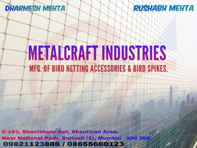 STAINLESS STEEL 304 BIRD SPIKES - METALCRAFT INDUSTRIES | PPTX