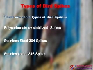 POLYCARBONATE UV STABILIZED BIRD SPIKES - METALCRAFT INDUSTRIES | PPT