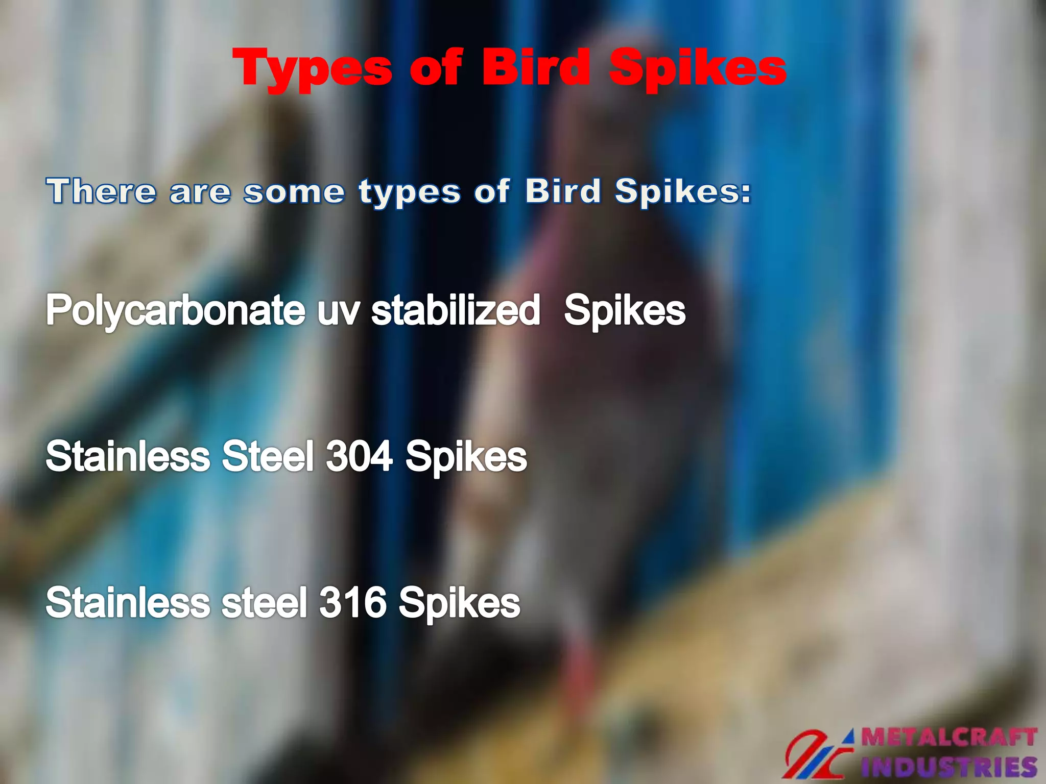 Pigeon Control Spikes - Metalcraft Industries Mumbai | PPT