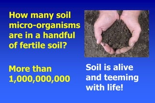 SOIL – Your Very Important Natural Resource | PPT