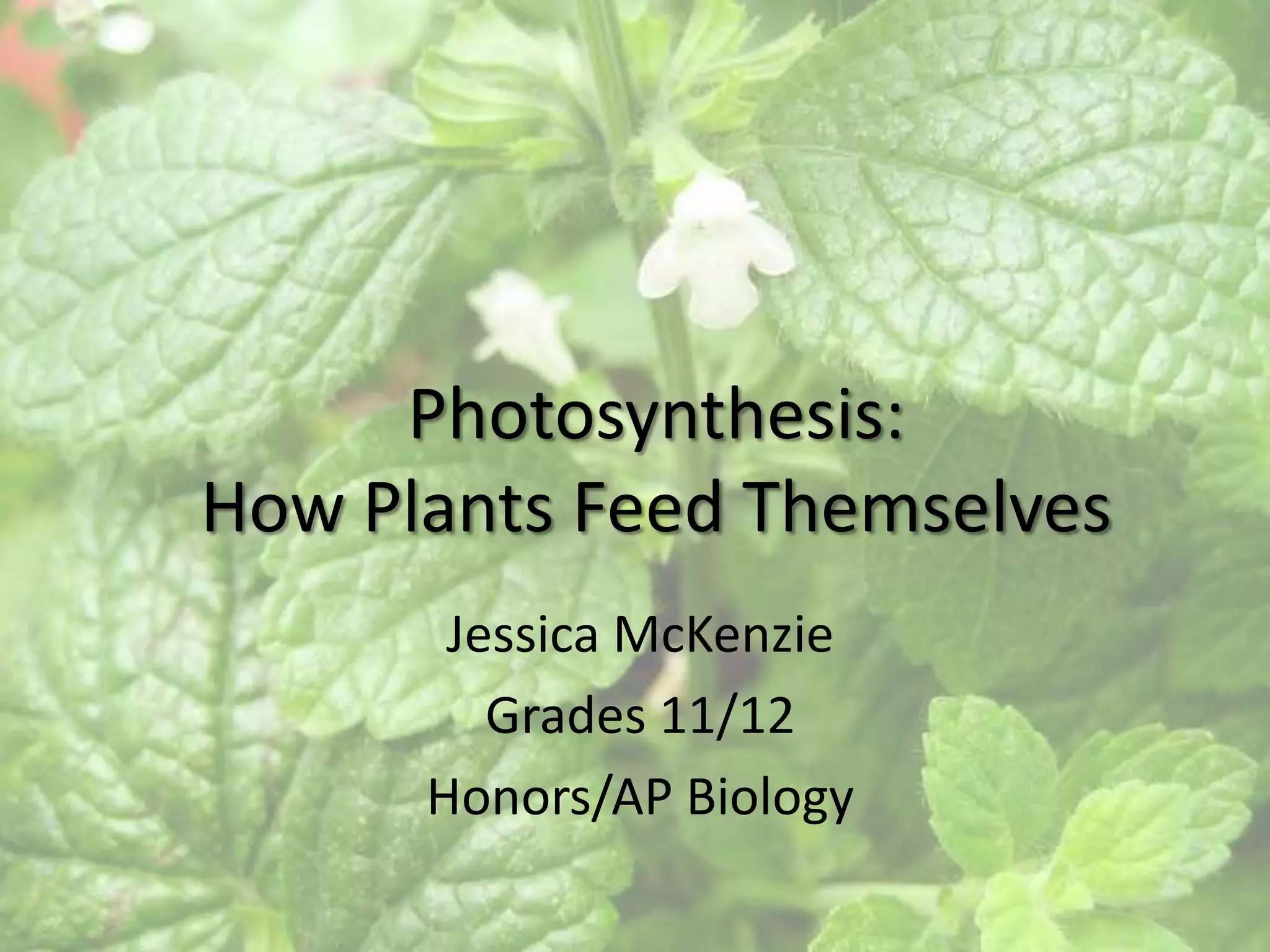 Photosynthesis Technology Module Performance Task | PPTX