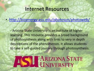 Photosynthesis Technology Module Performance Task | PPTX