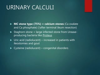 Urology ABSITE reveiw | PPTX