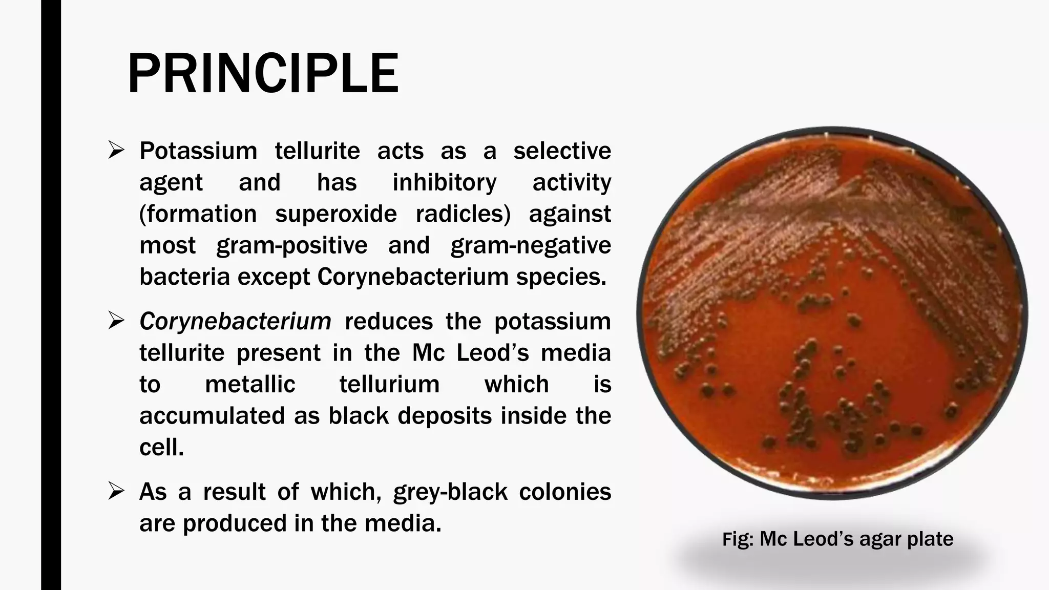 Mc leod | PPTX