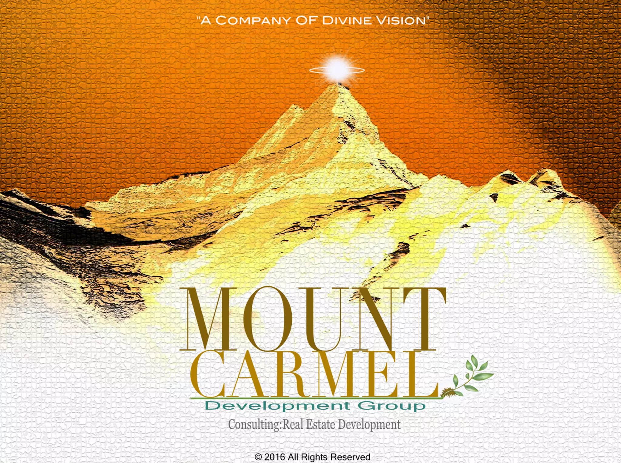 Mount Carmel Development Group_Logo_banner final | PDF