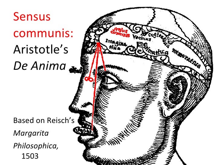 McLuhan & the Education of the Senses