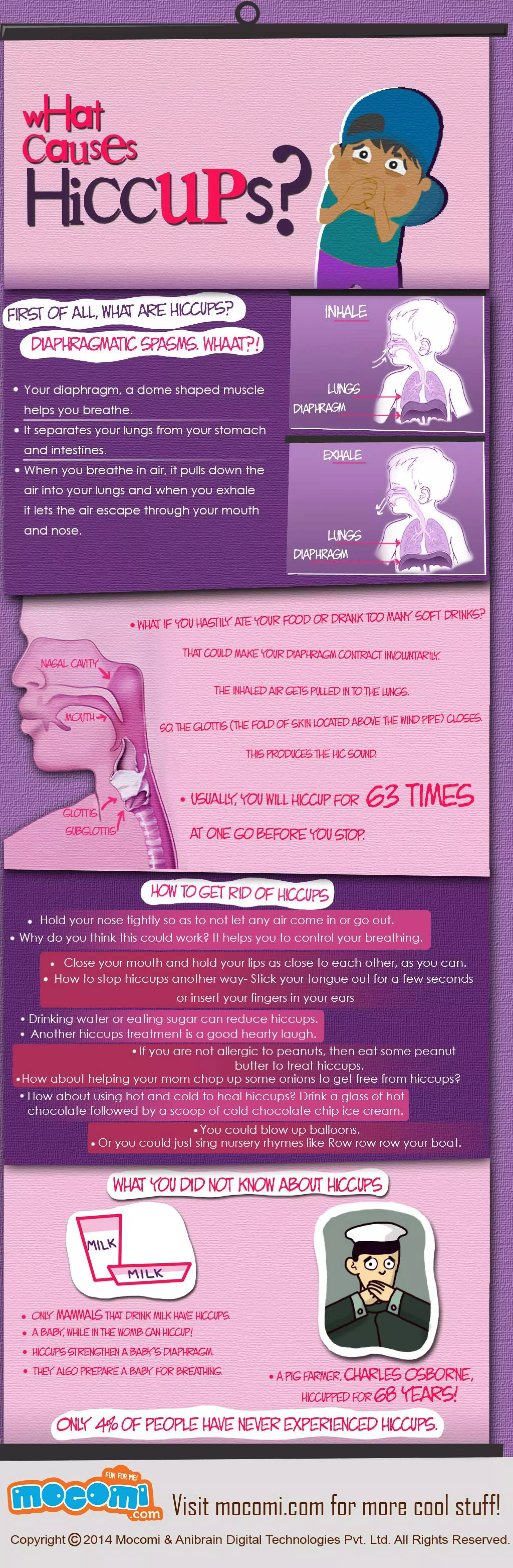 What causes Hiccups – Mocomi.com