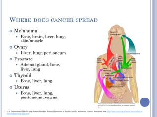 Oncology Hematology Focused History and Physical | PDF