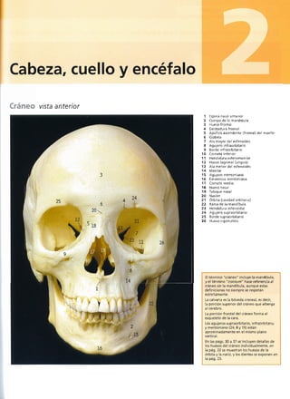 McMinn's Clinical Atlas of Human Anatomy.pdf