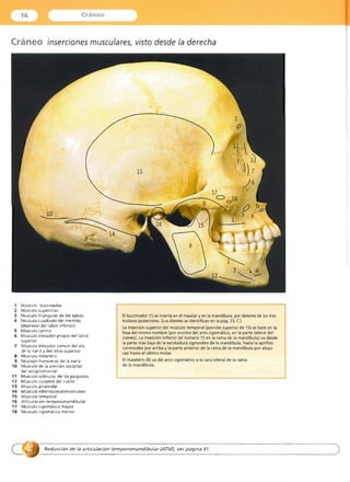McMinn's Clinical Atlas of Human Anatomy.pdf