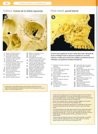 McMinn's Clinical Atlas of Human Anatomy.pdf