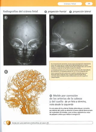 McMinn's Clinical Atlas of Human Anatomy.pdf