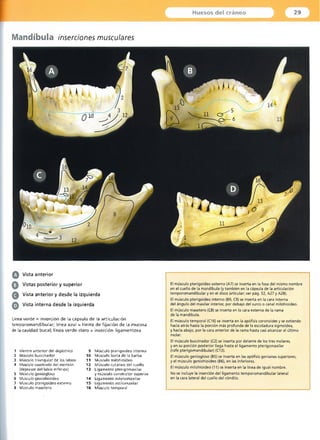 McMinn's Clinical Atlas of Human Anatomy.pdf