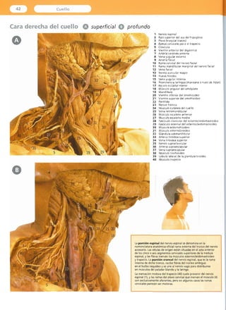 McMinn's Clinical Atlas of Human Anatomy.pdf