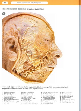 McMinn's Clinical Atlas of Human Anatomy.pdf