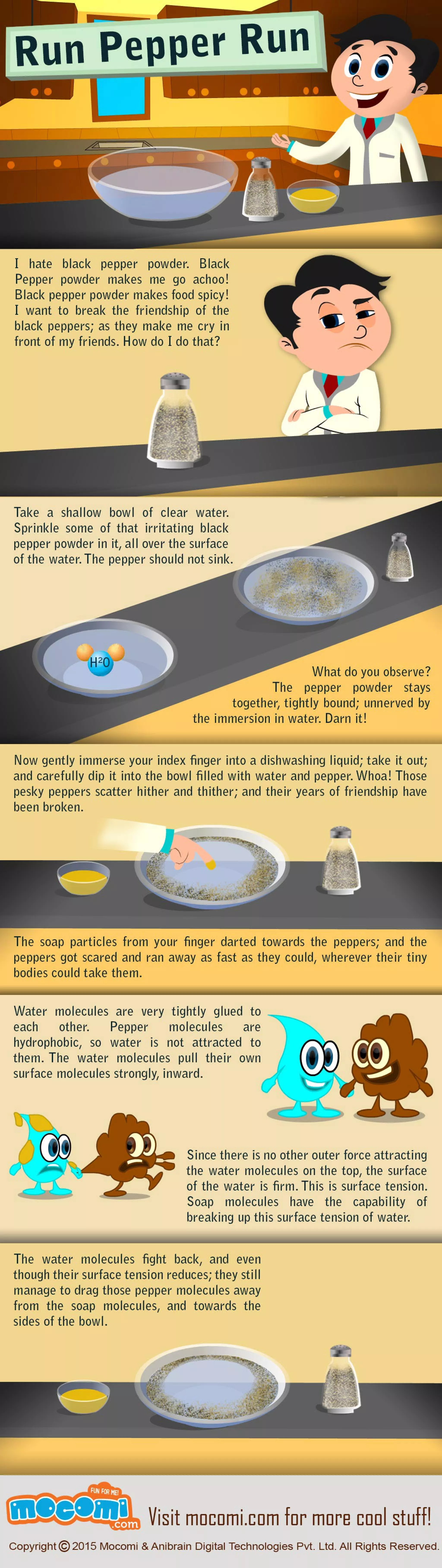 Black Pepper and Dish Soap – Science Experiment for Kids | PDF