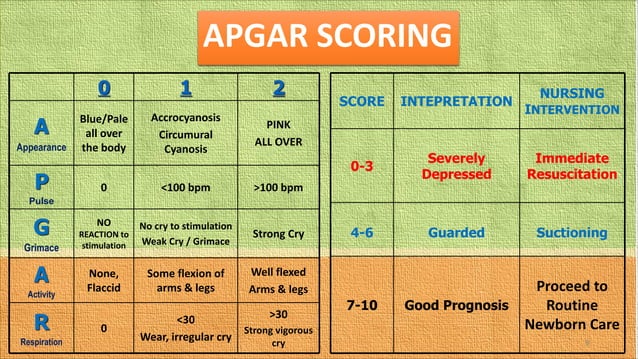 MCN-RLE-PPT_Essential-Intrapartal-Newborn-Care-2022.pdf