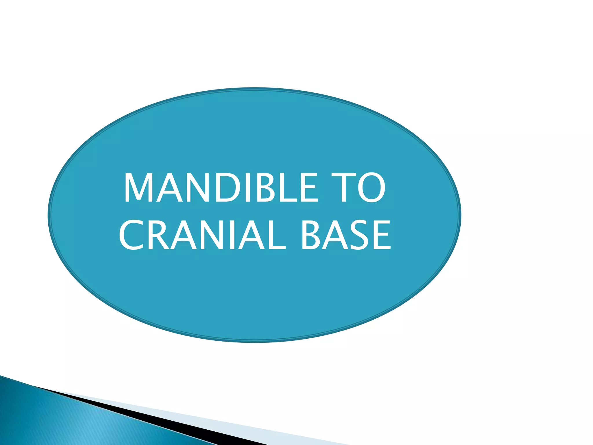 Mc namara analysis | PPTX