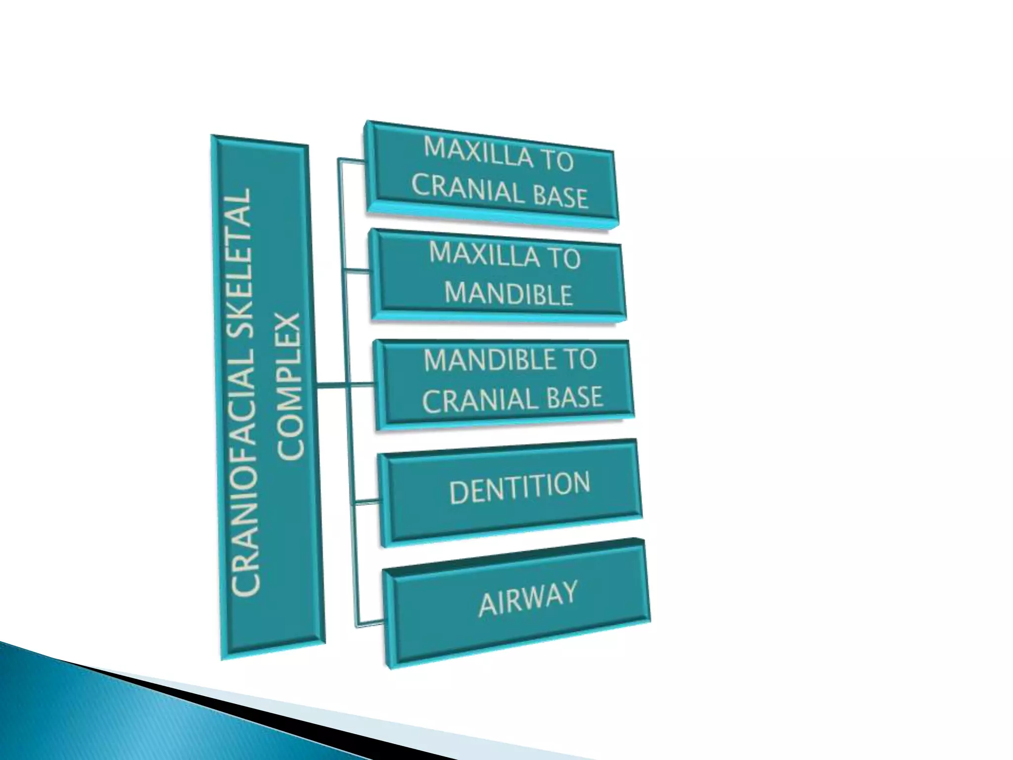 Mc namara analysis | PPTX