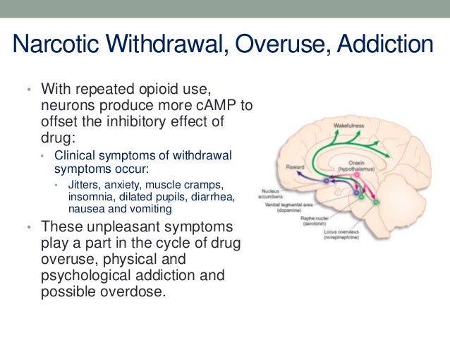 Understanding Narcotic Medications For Service Members