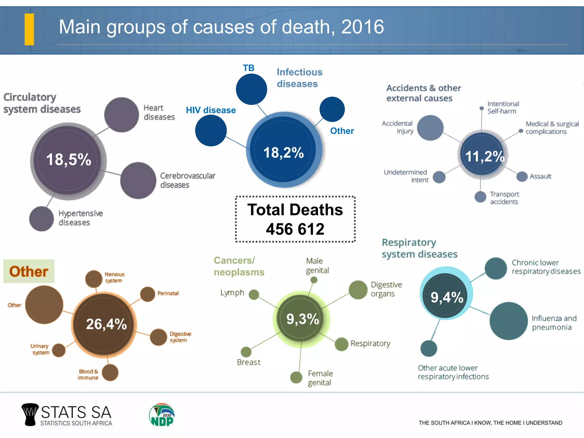 Mortality and causes of death in South Africa: Findings from death ...
