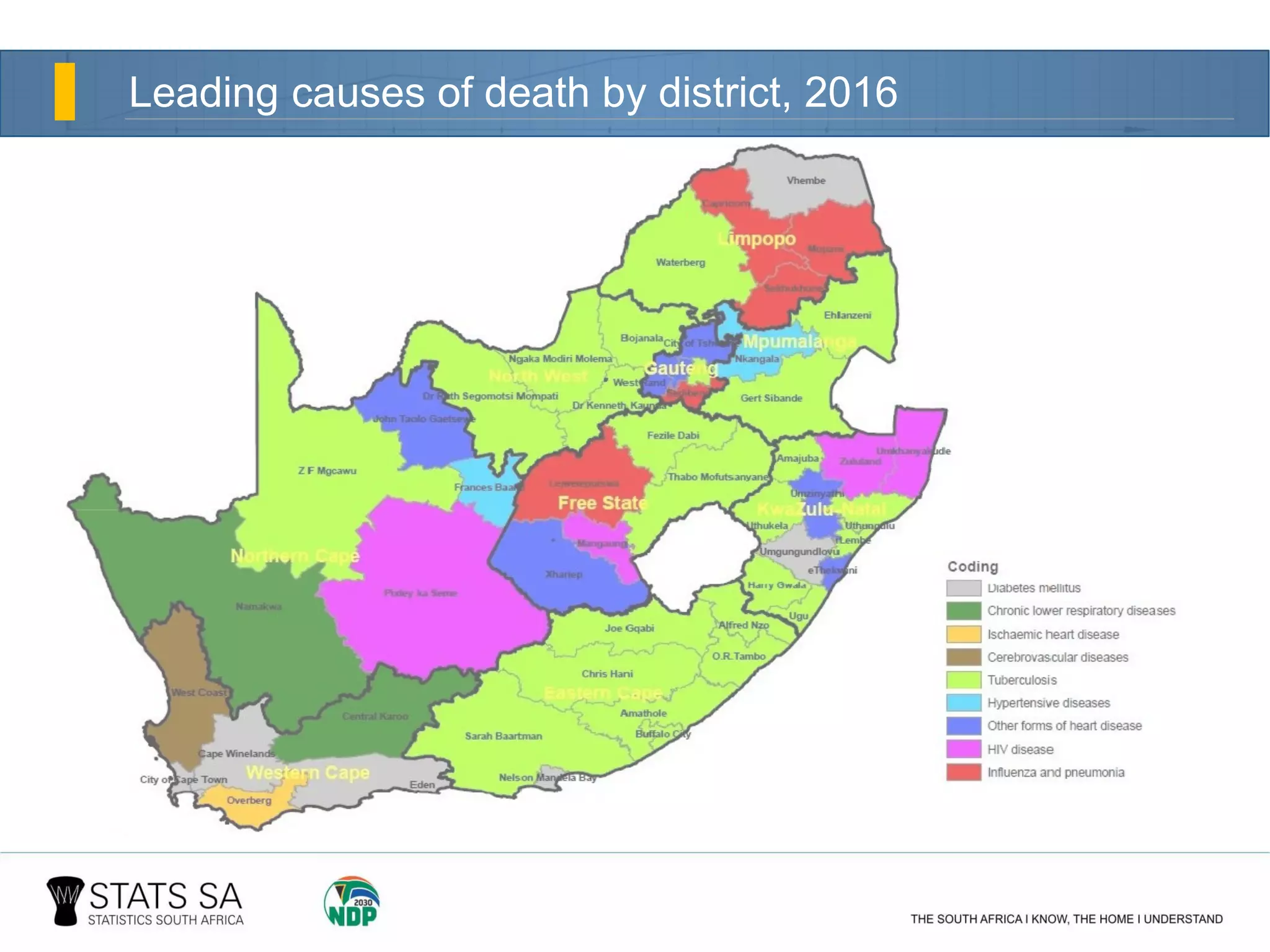 Mortality and causes of death in South Africa: Findings from death ...