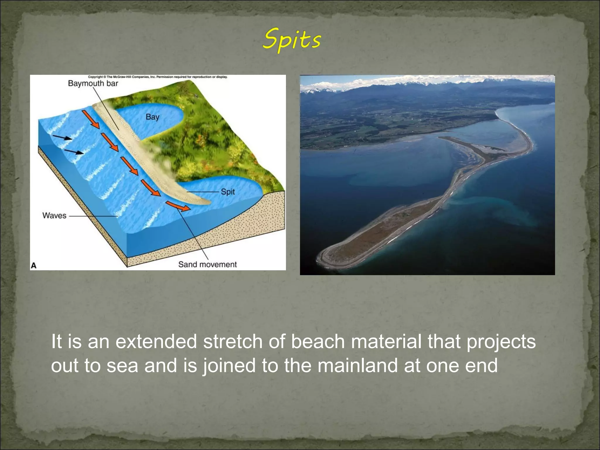Marine and Coastal Processes | PPT