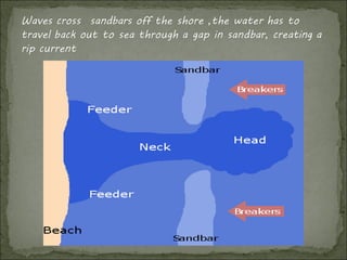 Marine and Coastal Processes | PPT