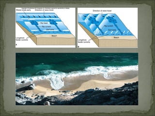 Marine and Coastal Processes | PPT