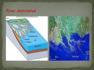 Marine and Coastal Processes | PPT